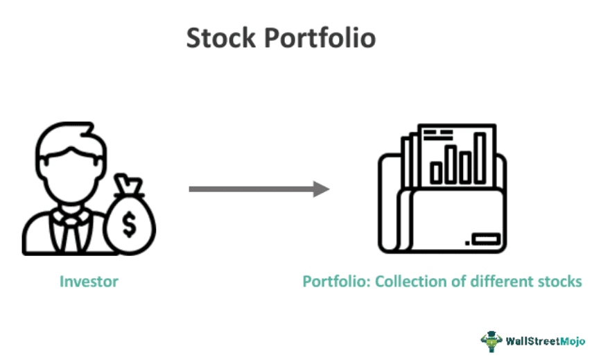 Stock Portfolio - What Is It, Examples, How To Build & Diversify?
