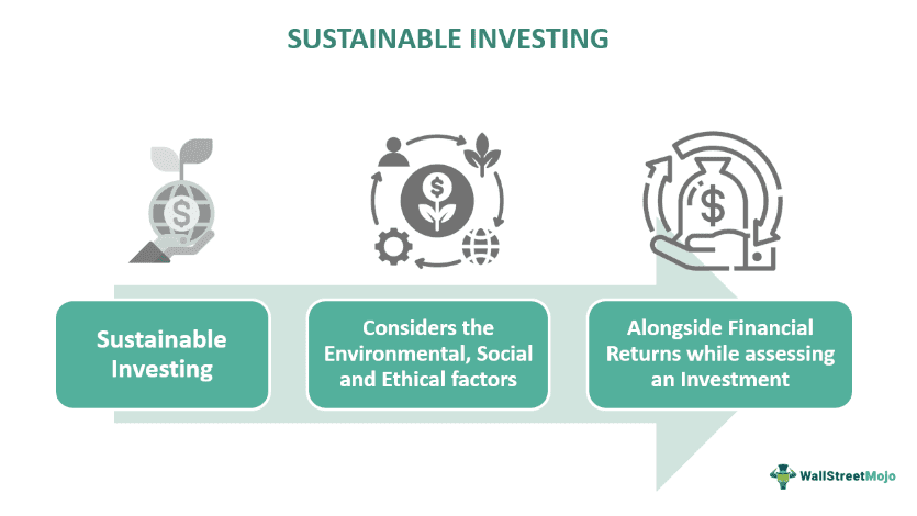 Sustainable Investing - What It Is, Strategies, Types, Examples