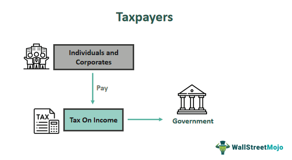 Taxpayers - Definition, Classification, Rights, Responsibilities