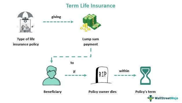 Term Life Insurance - What Is It, Types, Examples, Pros & Cons