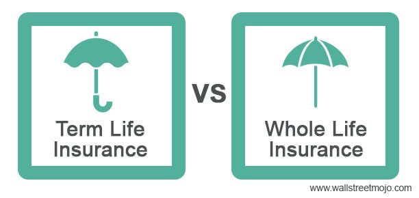 Term Life vs Whole Life Insurance | Which Insurance is Better?