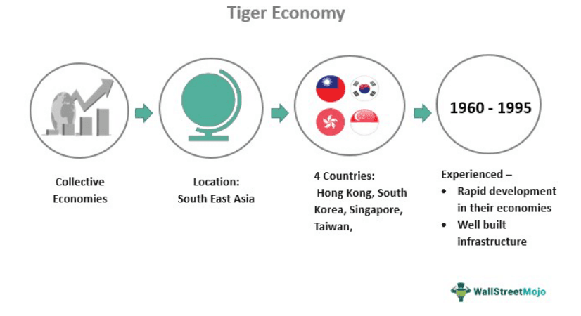 Tiger Economy - What Is It, Asian Tiger Economies, Examples