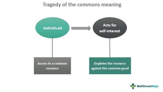 Tragedy Of The Commons - Definition, Solutions, Examples