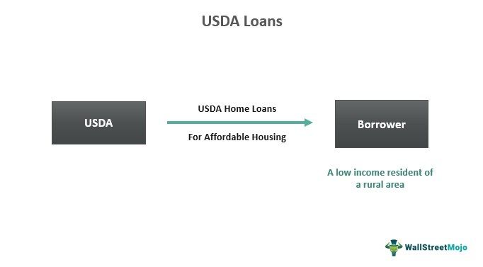 USDA Loan - What Is It, Types, Requirements, Vs FHA Loan