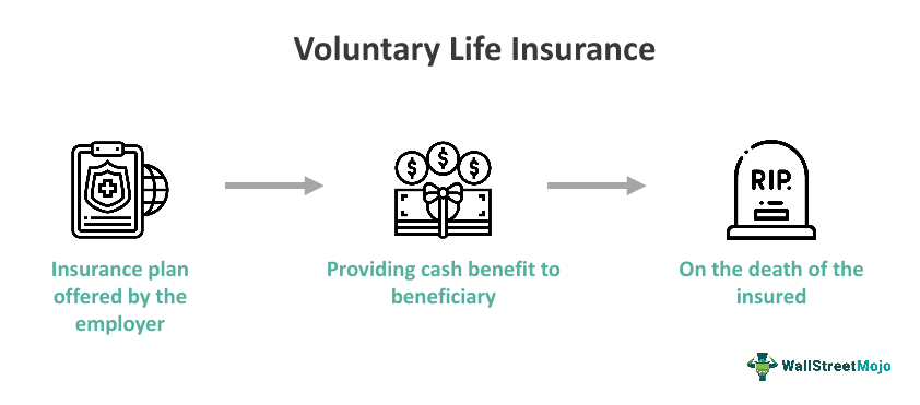 Voluntary Life Insurance - What Is It, Types, vs Basic Life Insurance