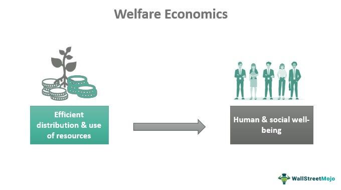 Welfare Economics - Definition, Study, Theory, Examples