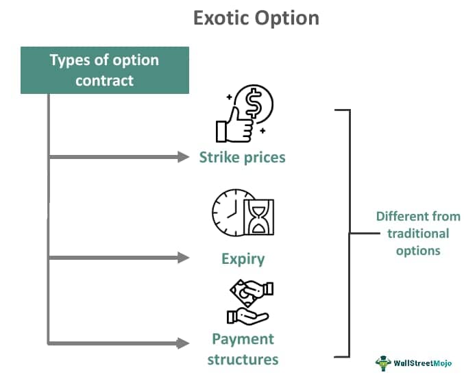 Exotic Option - What Is It, Types, Examples, Features