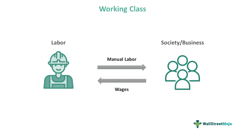 Working Class - Definition, Examples, Vs Middle Class