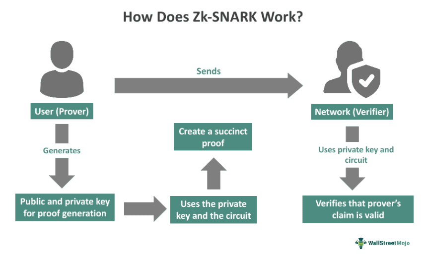 Zk-SNARK - What It Is, Explained, Example, Vs Zk-STARK