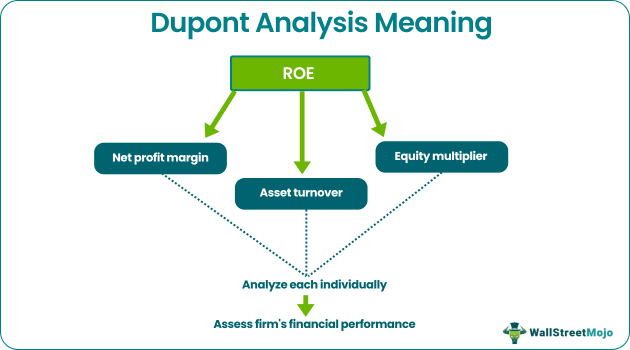 Dupont Analysis - What Is It, Examples, Equation (3 Step & 5 Step)