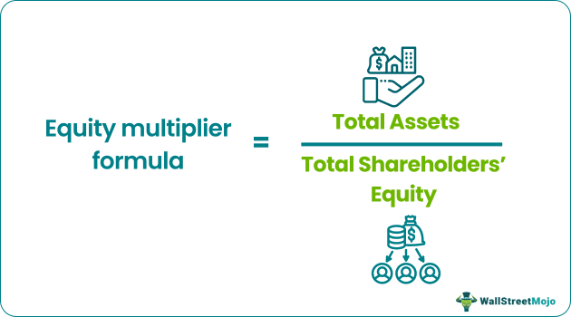 Equity Multiplier Formula - What Is It, Examples, Calculation