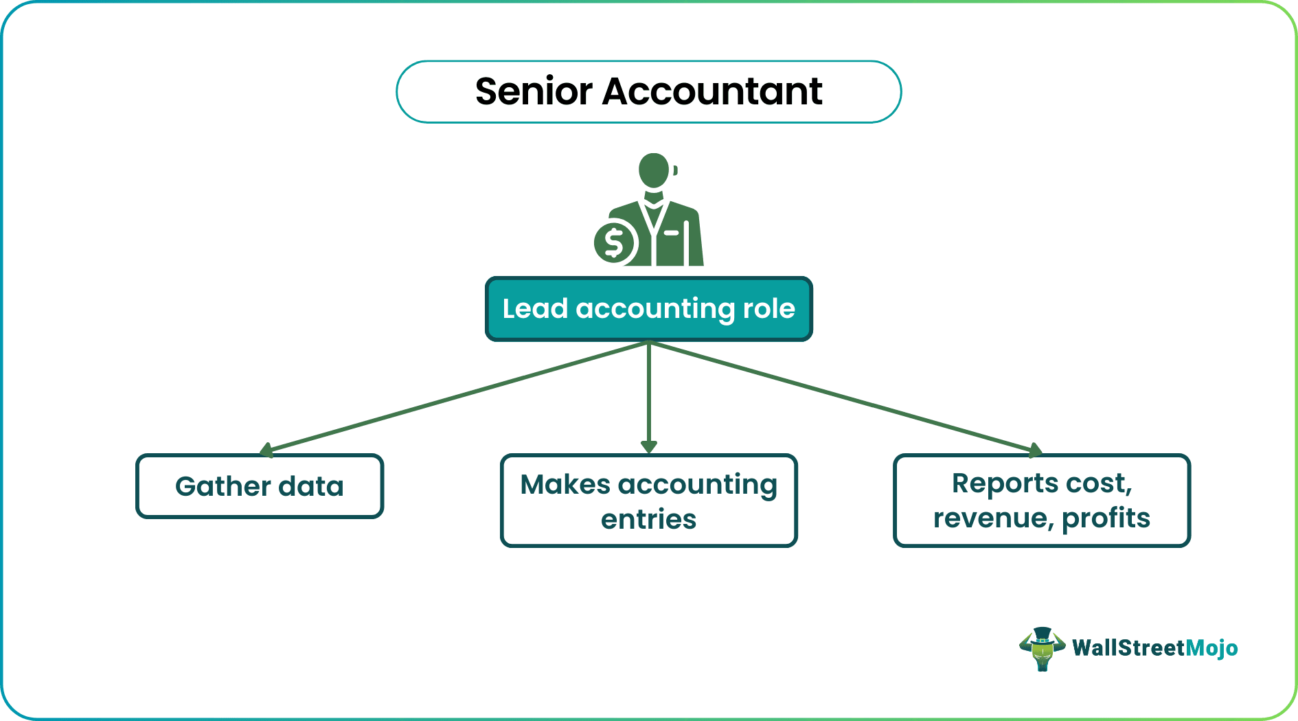 Senior Accountant - What Is It, Salary, Job Description